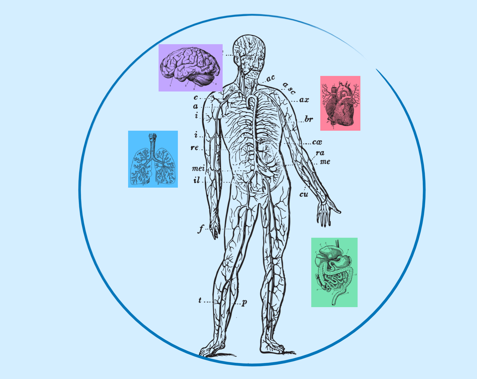 RTT and Mind-Body Connection - Dr. Carla Kesrouani